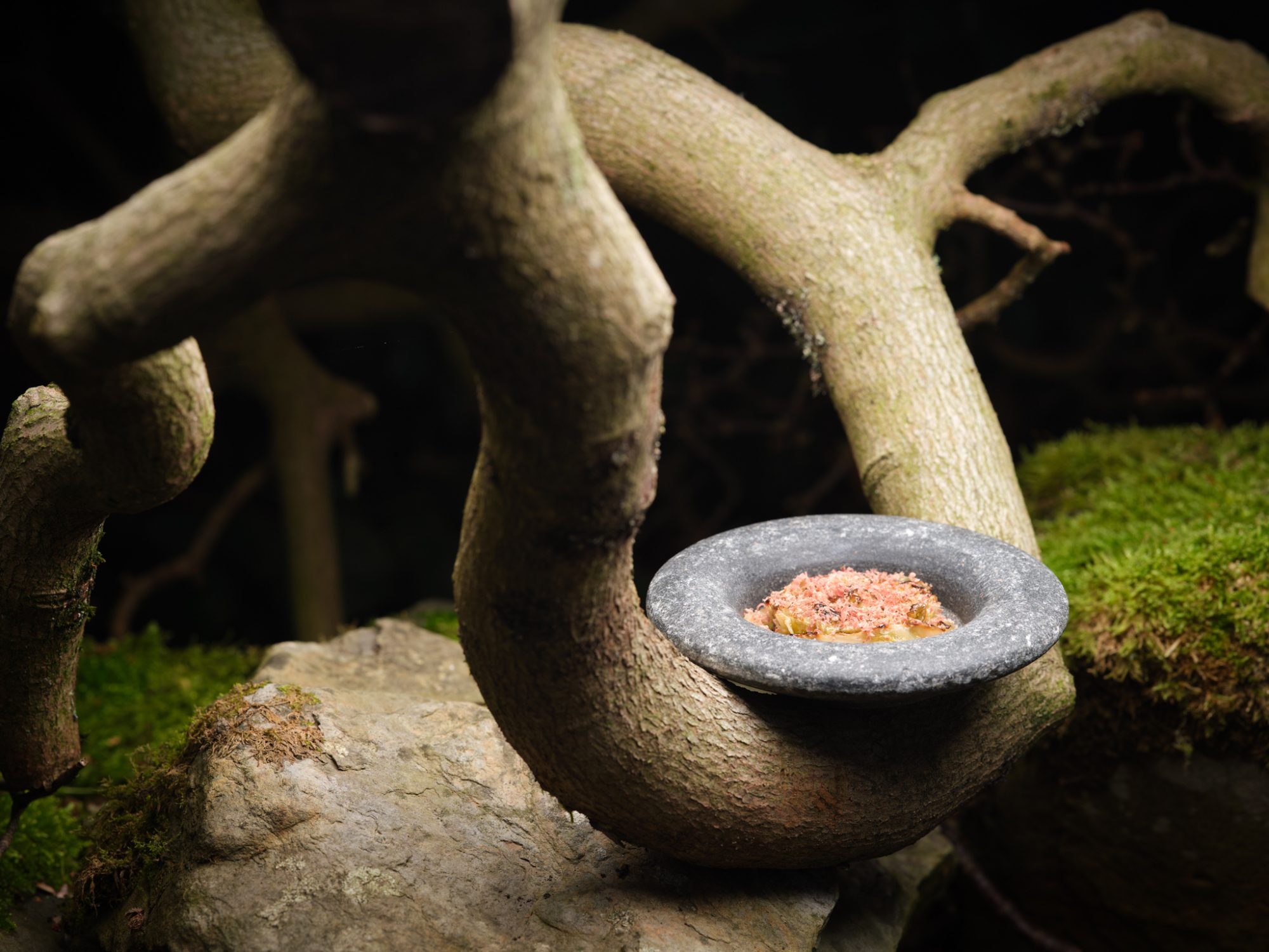 L'Enclume | Sample Tasting Menu