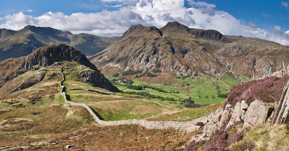 Simon Rogan | Introducing our Home By Tasting Menu