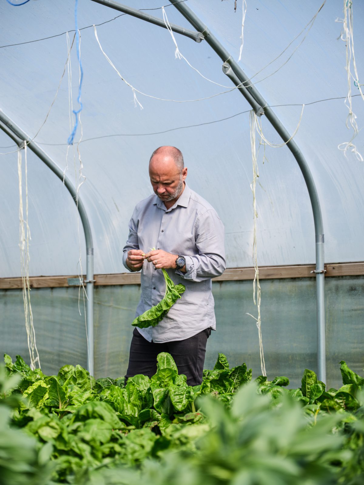 Simon Rogan | Contact