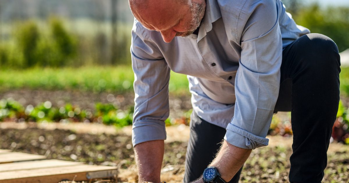 Simon Rogan | Planning Ahead