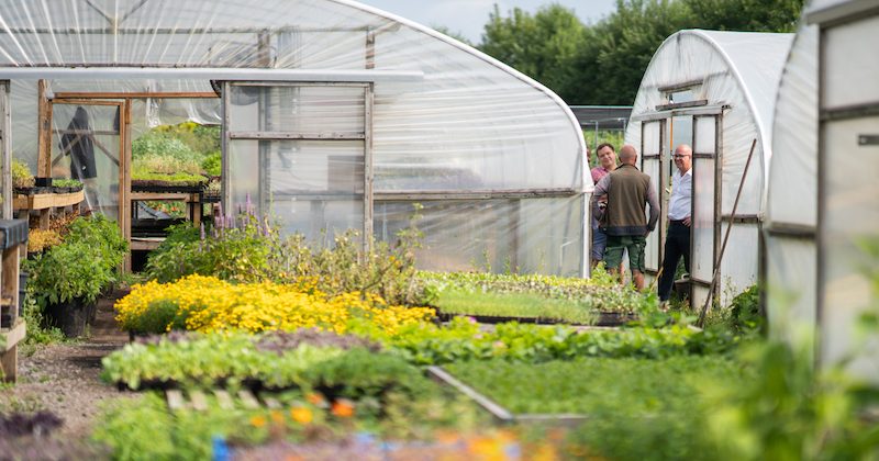 Simon Rogan | Forty Farms