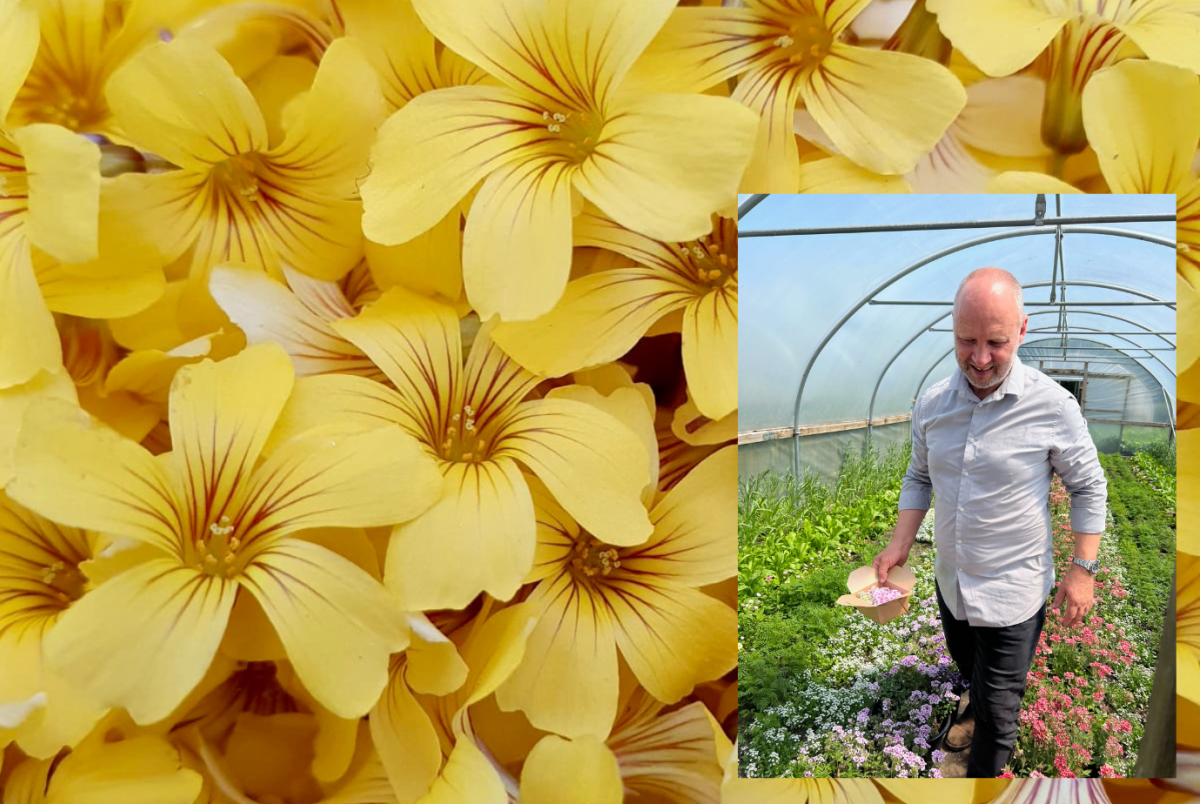 Simon Rogan | Summer at Our Farm