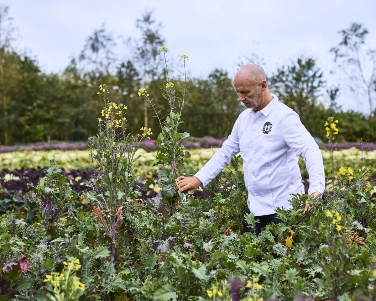 Aulis | Hidden on St Anne’s Court, just off Dean Street, Aulis is…