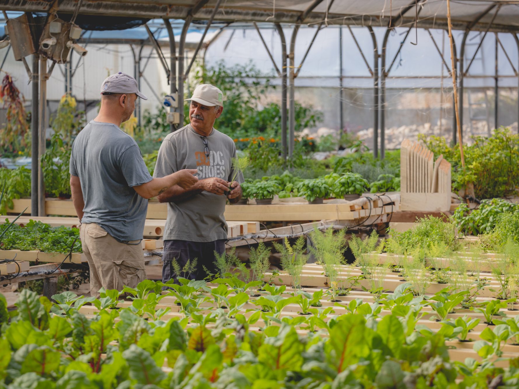 Simon Rogan | A Special Visit to Malta, with ION Harbour