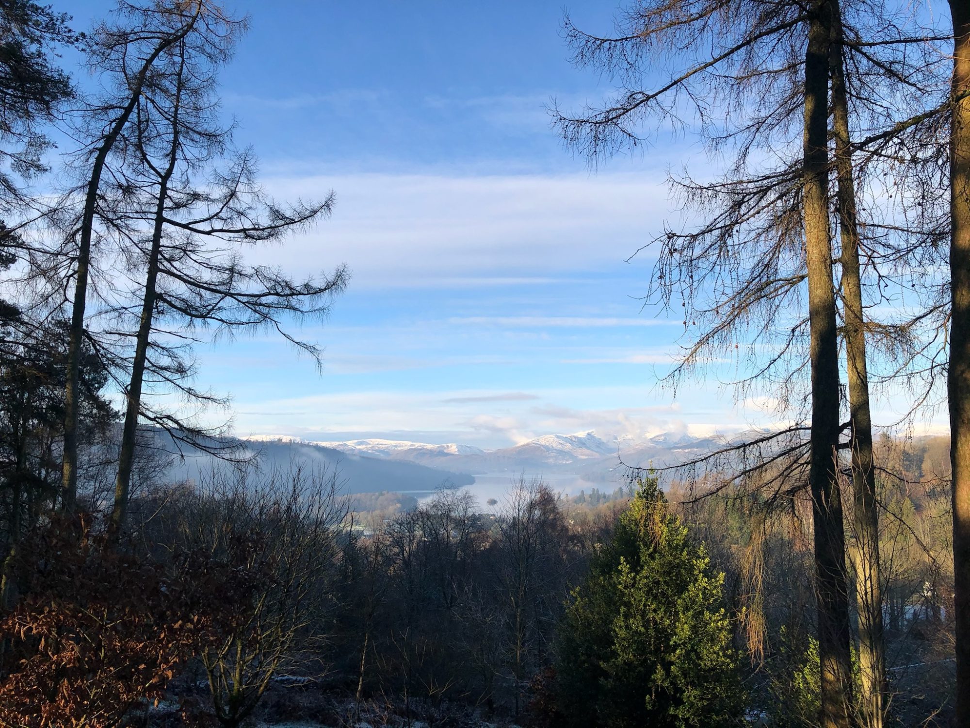 Simon Rogan | Chef Patron: L'Enclume, Rogan & Co., Aulis & Roganic