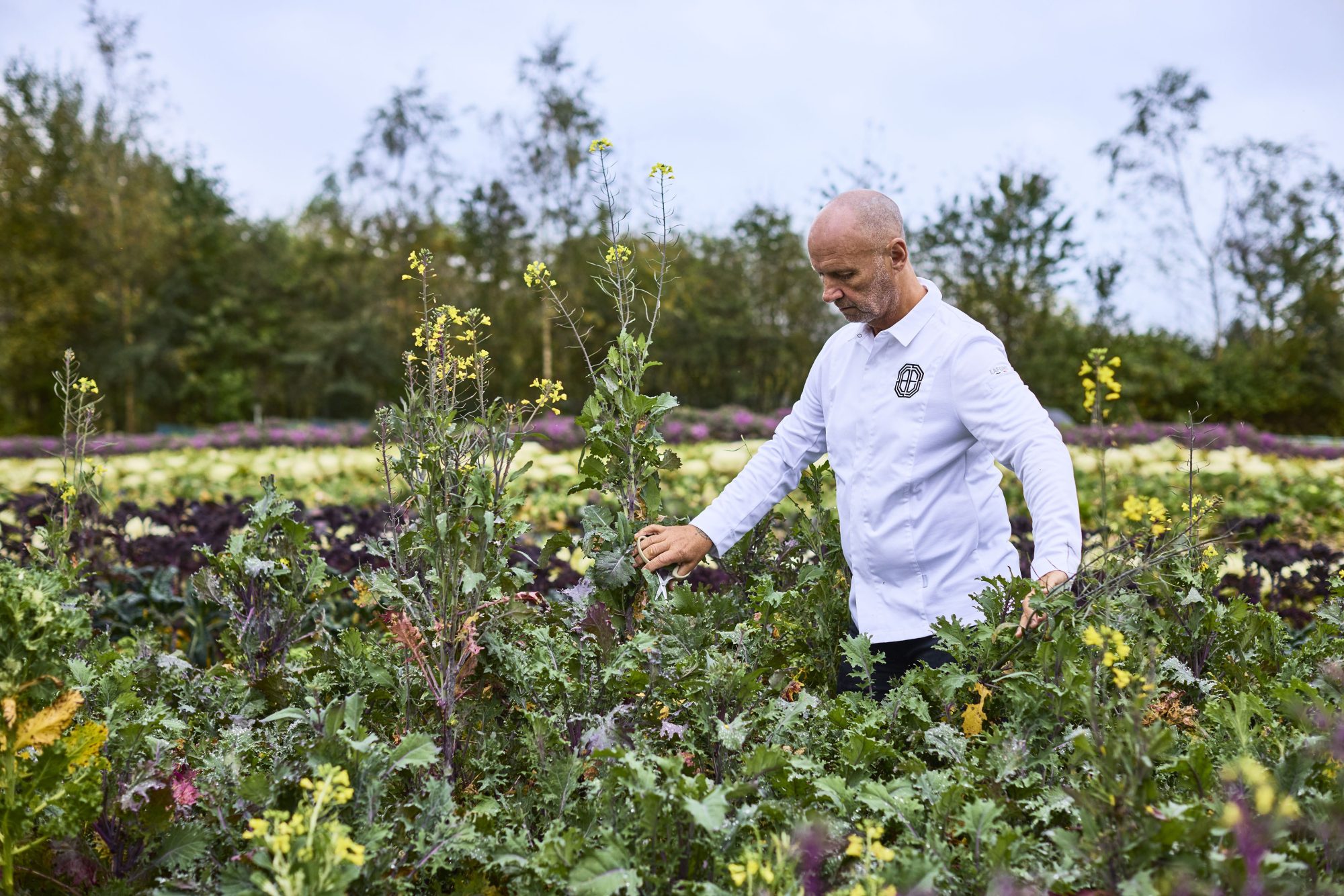 Simon Rogan | An Unique Dining Experience with Simon Rogan on The…