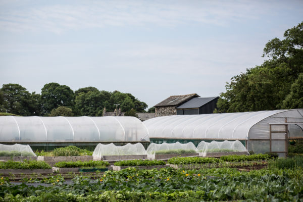 Simon Rogan | Restaurants