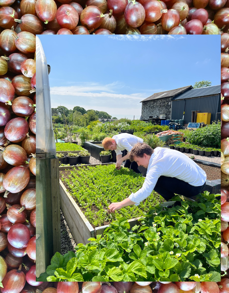 Simon Rogan | Summer at Our Farm