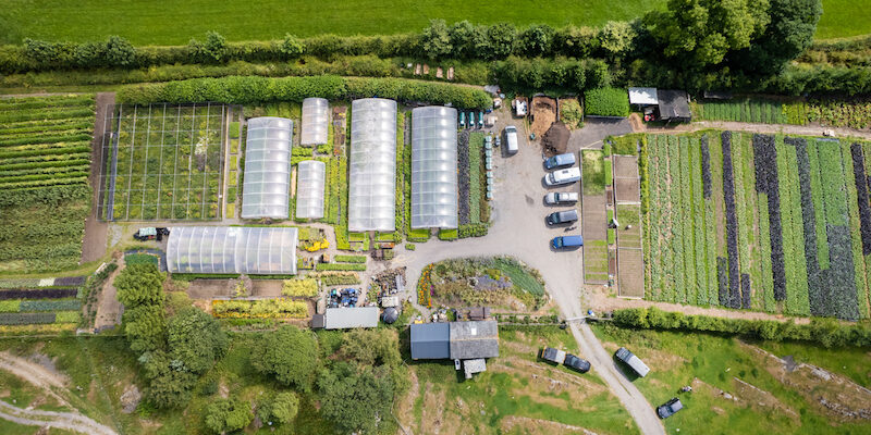 Simon Rogan | Forty Farms